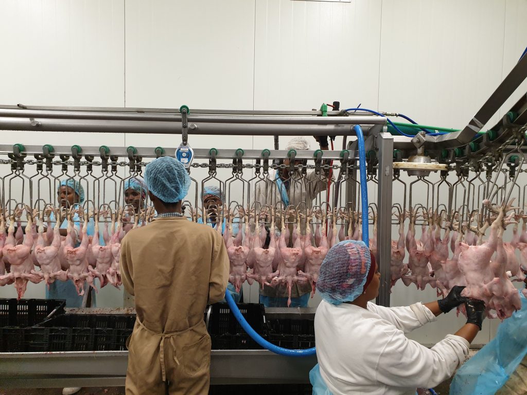 Investing - Fair Factory