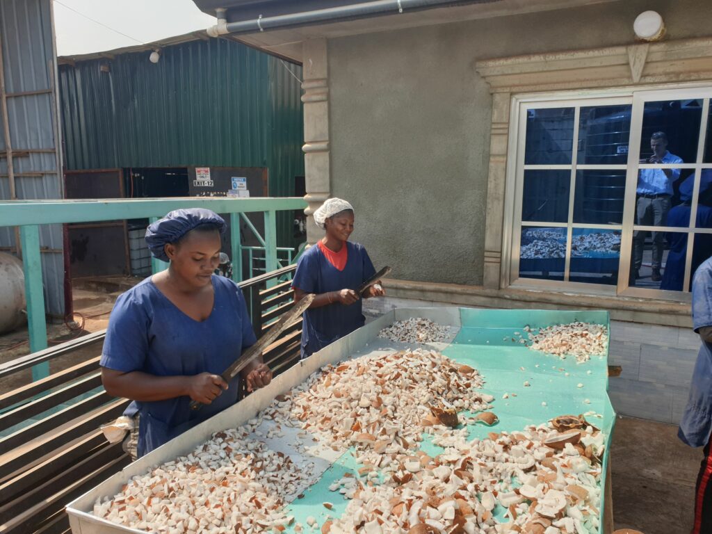 Melach Coconut Processing - Fair Factory
